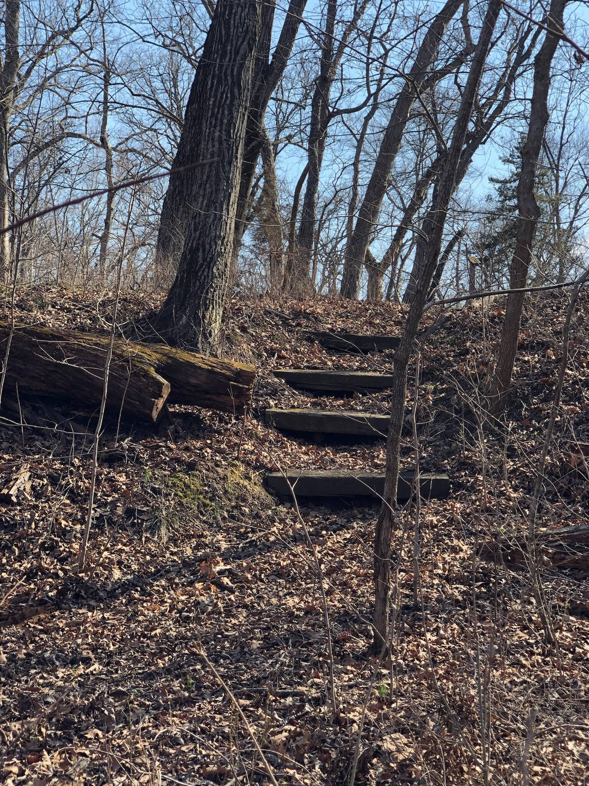 Amenities | Timber Lakes Camp & Retreat Center